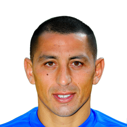 Angelo Palombo FIFA 14 - 72 - Rating - Ultimate Team | Futhead